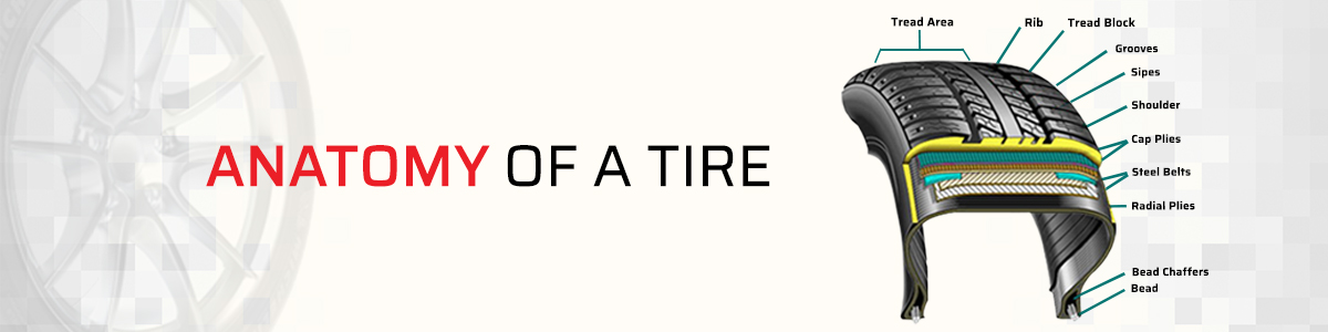 Tire Anatomy – Learn About the Different Parts of a Tyre