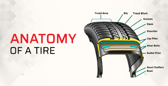 Tire Anatomy – Learn About the Different Parts of a Tyre