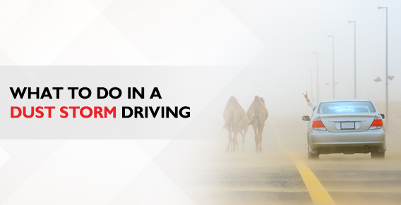 What to Do in a Dust Storm Driving?