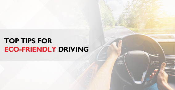 Role of Car Owners in Protecting the Environment