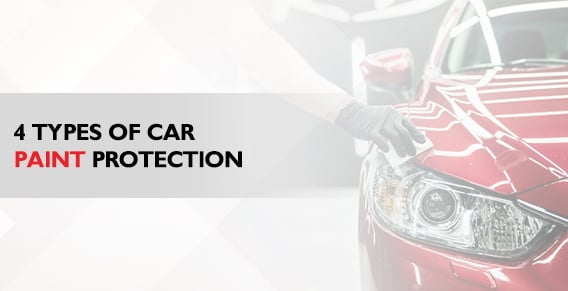 Popular Car Paint Protection Options & Types