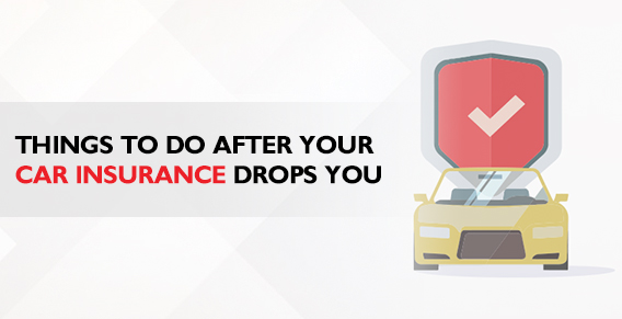 What to Do when your Car Insurance Drops You?